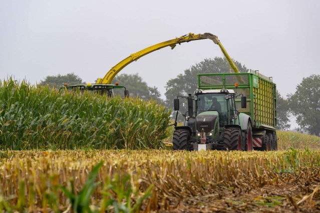 Maize Harvest and Clamping Management